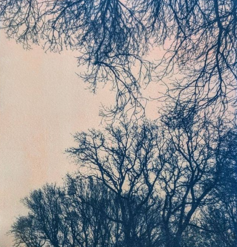 Jane Spink – Glasshouse Contemporary