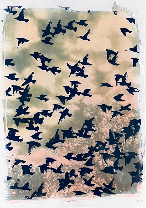 Murmuration (sunset tones) – Glasshouse Contemporary
